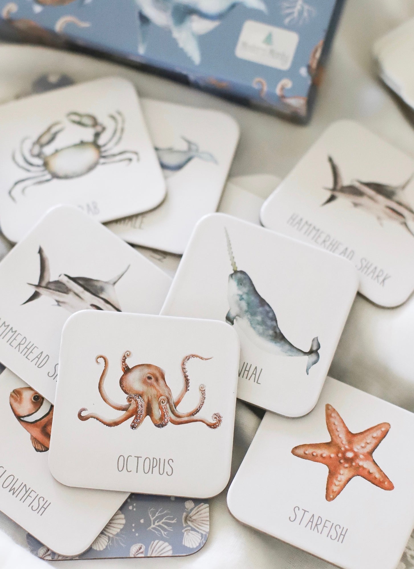 Card Games for Kids - Bean and Sprouts – Bean and Sprouts Toys