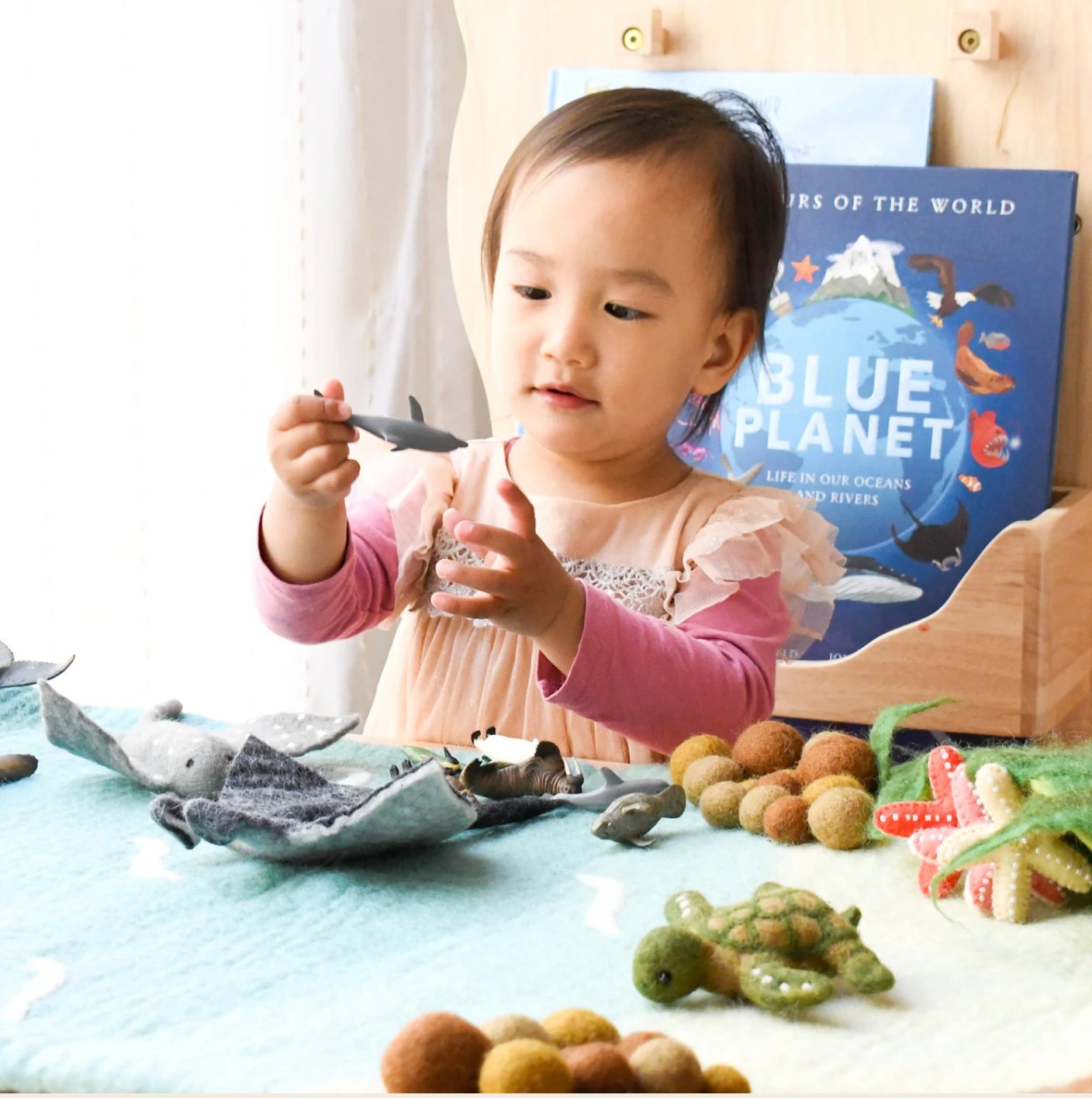 NDIS Orders - Bean and Sprouts Toys